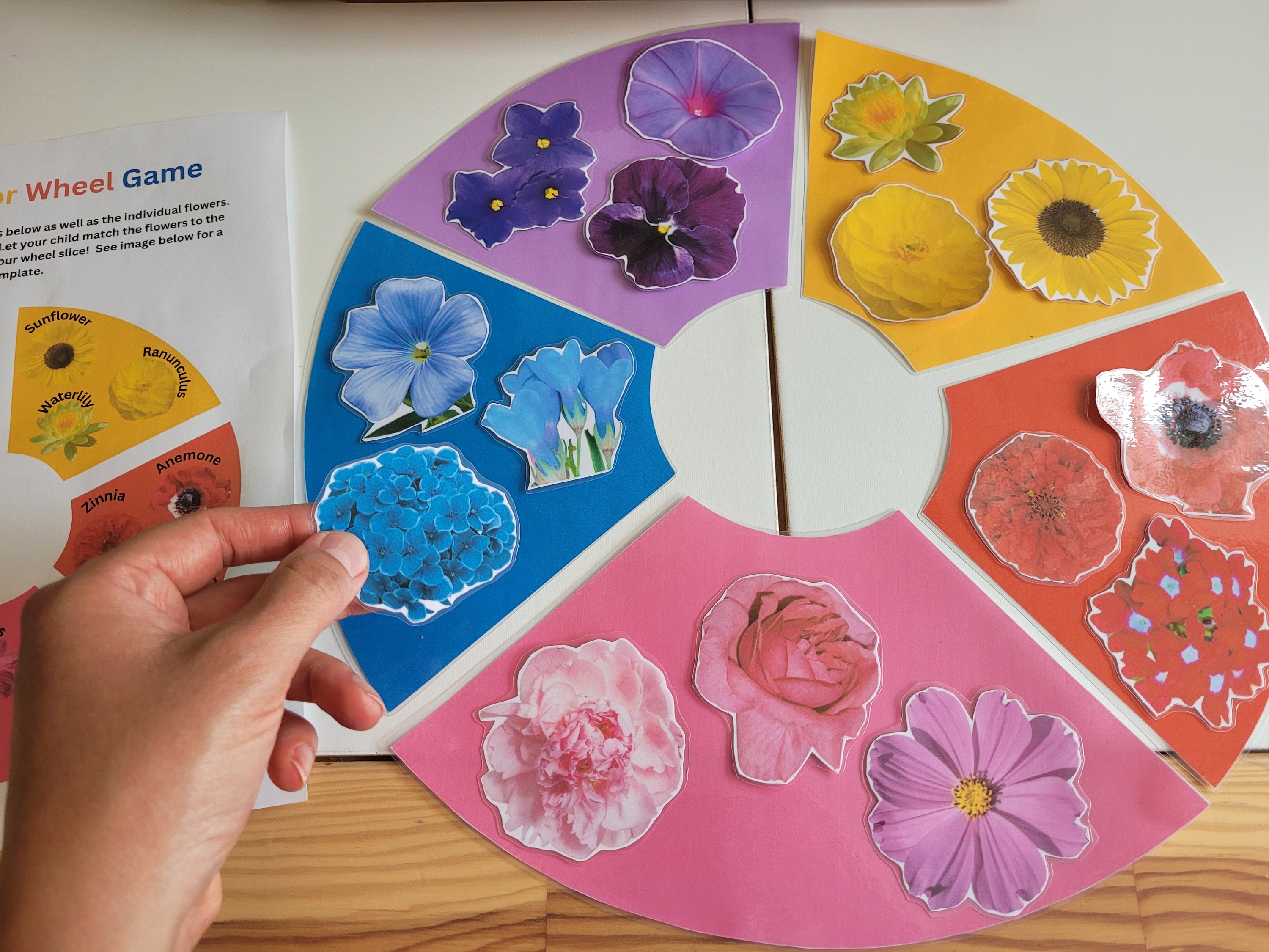 Printable Flower Color Wheel Matching Game, Floral Color Wheel ...