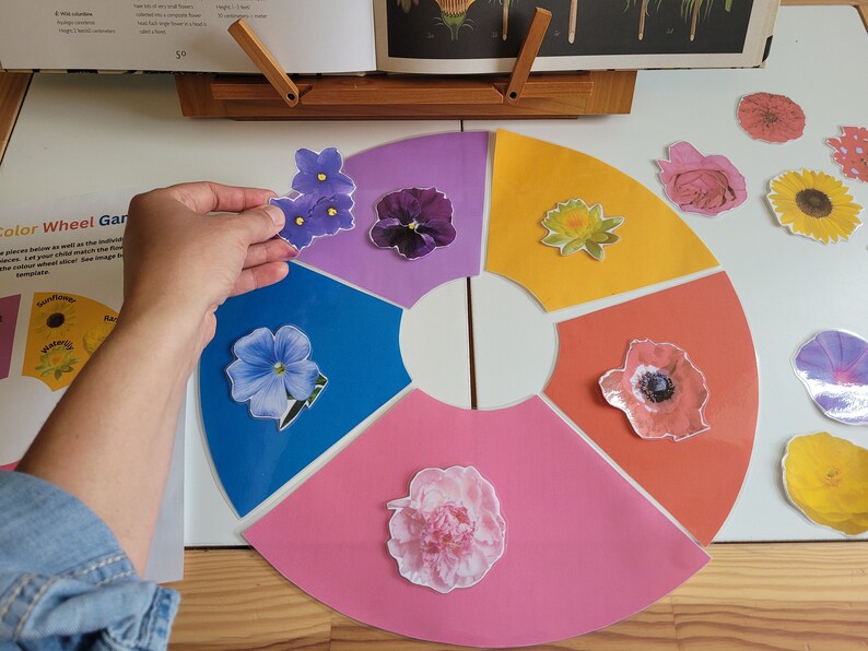 Printable Flower Color Wheel Matching Game Floral Color - Etsy
