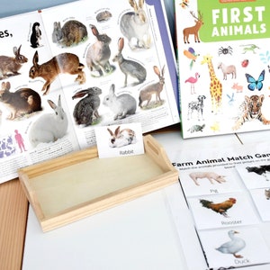 Farm Animal Matching Worksheet, Preschool Printable, Activities for ...