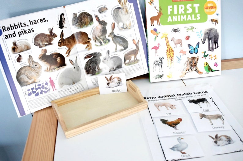 Farm Animal Matching Worksheet, Preschool Printable, Activities for ...