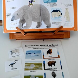 Animal to Environment Matching Game, Preschool Printable Busy Book Page ...