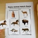 Plains Animal Matching Game, Activities for Preschoolers, Montessori ...
