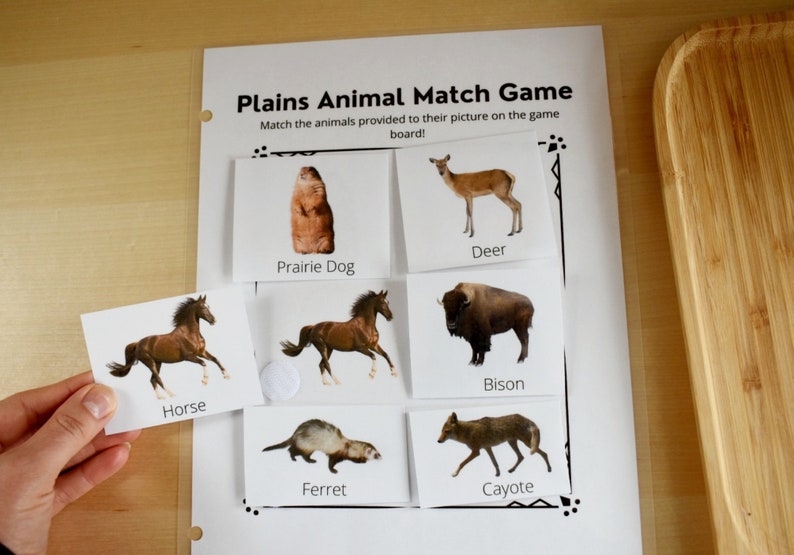 Plains Animal Matching Game Activities for Preschoolers - Etsy