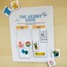 Preschool Printable Weight Sorting Game, Busy Book Page, Physics ...