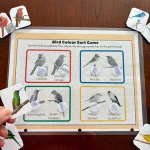 Printable Bird Color Sorting Game: Montessori Homeschool Activity (PDF ...
