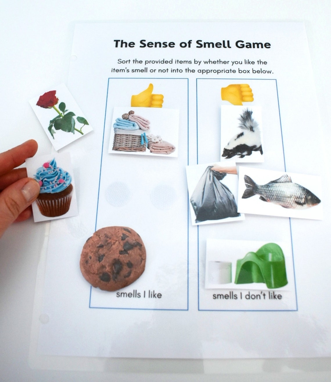 Printable Preschool Biology Weather and the Five Senses - Etsy