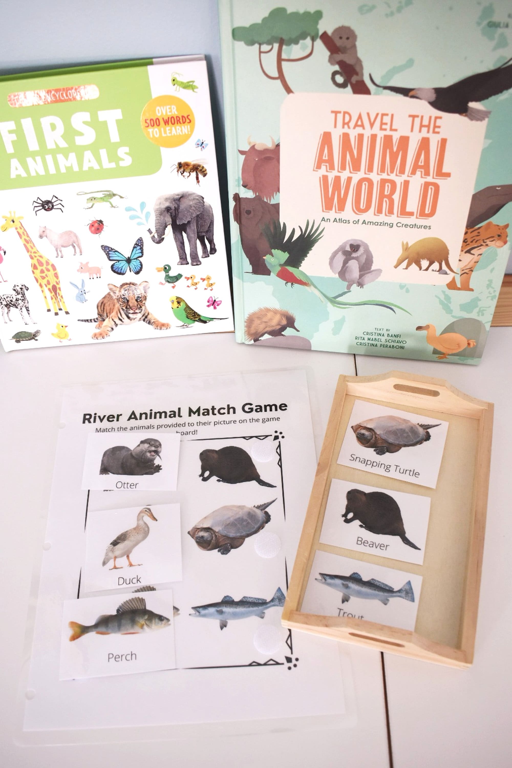 Forest Animal Matching Worksheet, Activities for Preschoolers ...