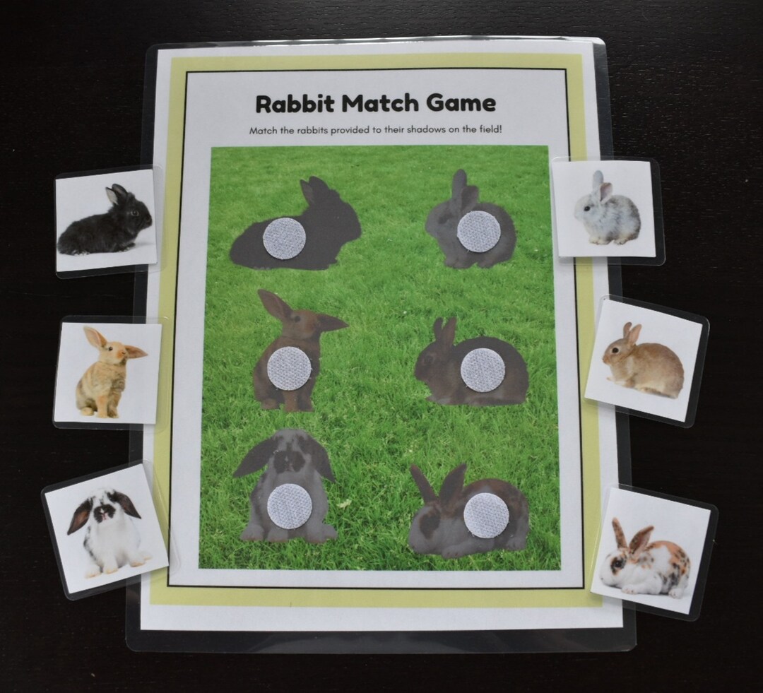 Printable Rabbit Match Game, Montessori Inspired, Nature Study, Toddler ...