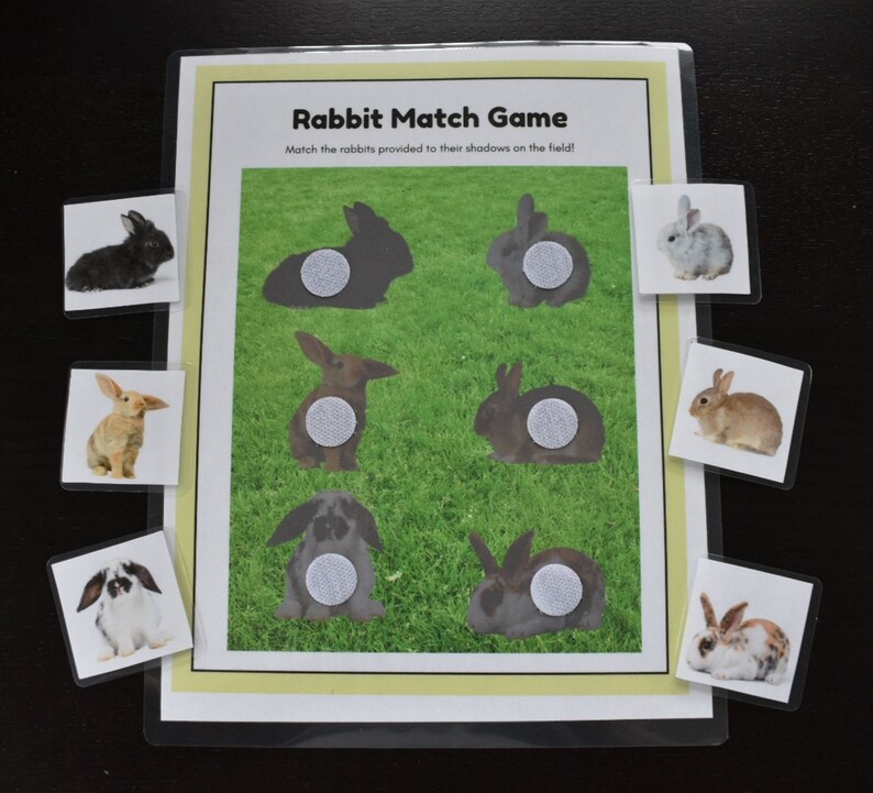 Printable Rabbit Match Game, Montessori Inspired, Nature Study, Toddler ...