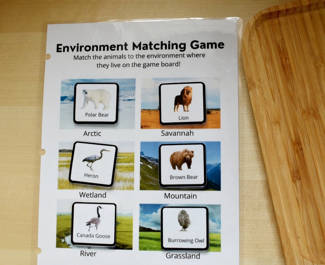 Animal to Environment Matching Game, Preschool Printable Busy Book Page ...
