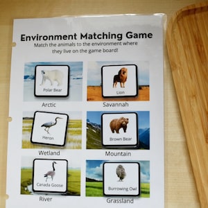 Animal to Environment Matching Game, Preschool Printable Busy Book Page ...