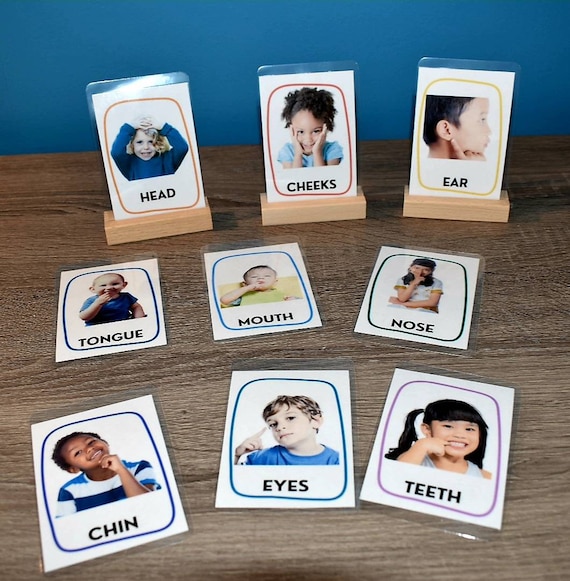 Printable Toddler Flashcards Parts of Body Flashcards | Etsy