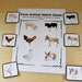 Farm Animal Matching Worksheet, Preschool Printable, Activities for ...