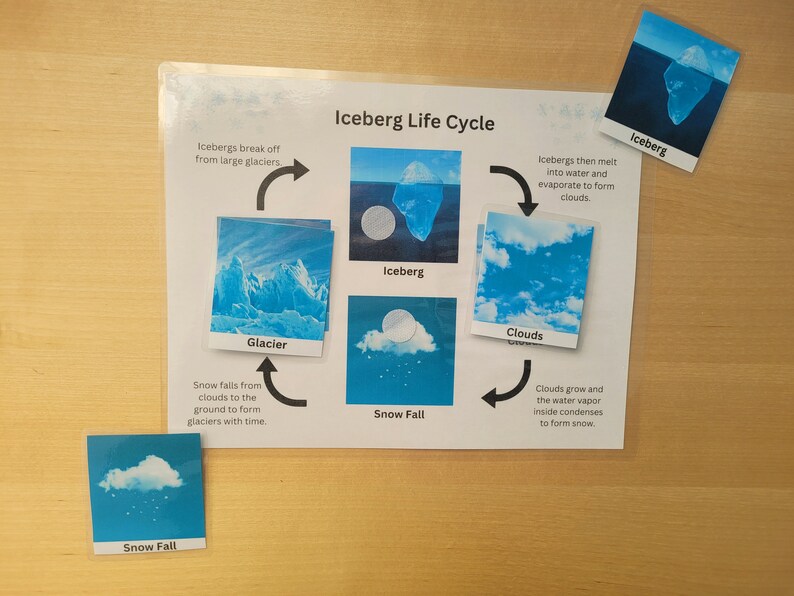 Iceberg Life Cycle Worksheet: Homeschool Nature Study (PDF) - Etsy