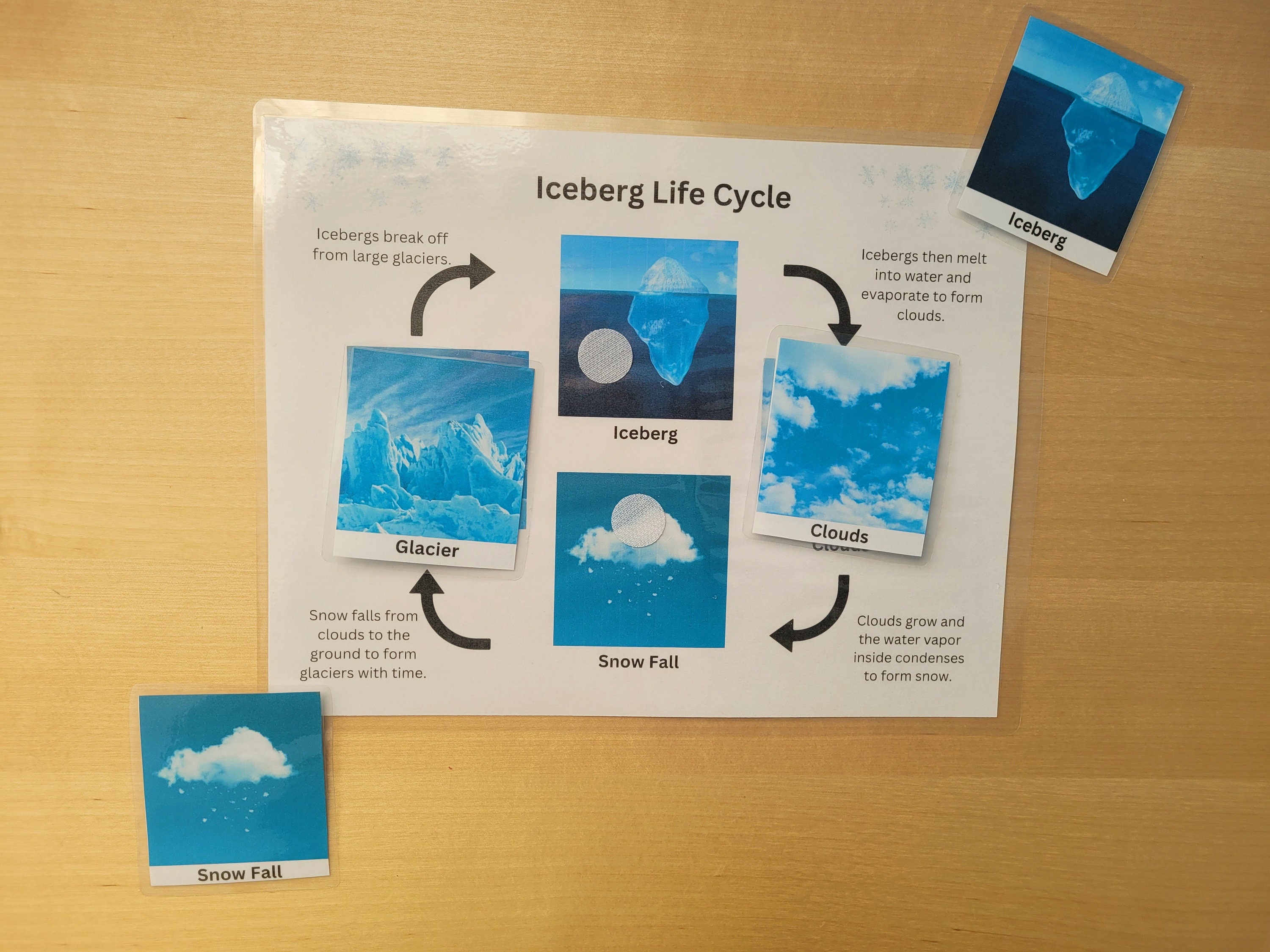 Iceberg Life Cycle Worksheet, Nature Study, Homeschool Resources, Busy ...