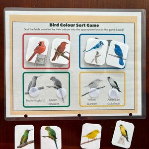 Printable Bird Color Sorting Game: Montessori Homeschool Activity (PDF ...