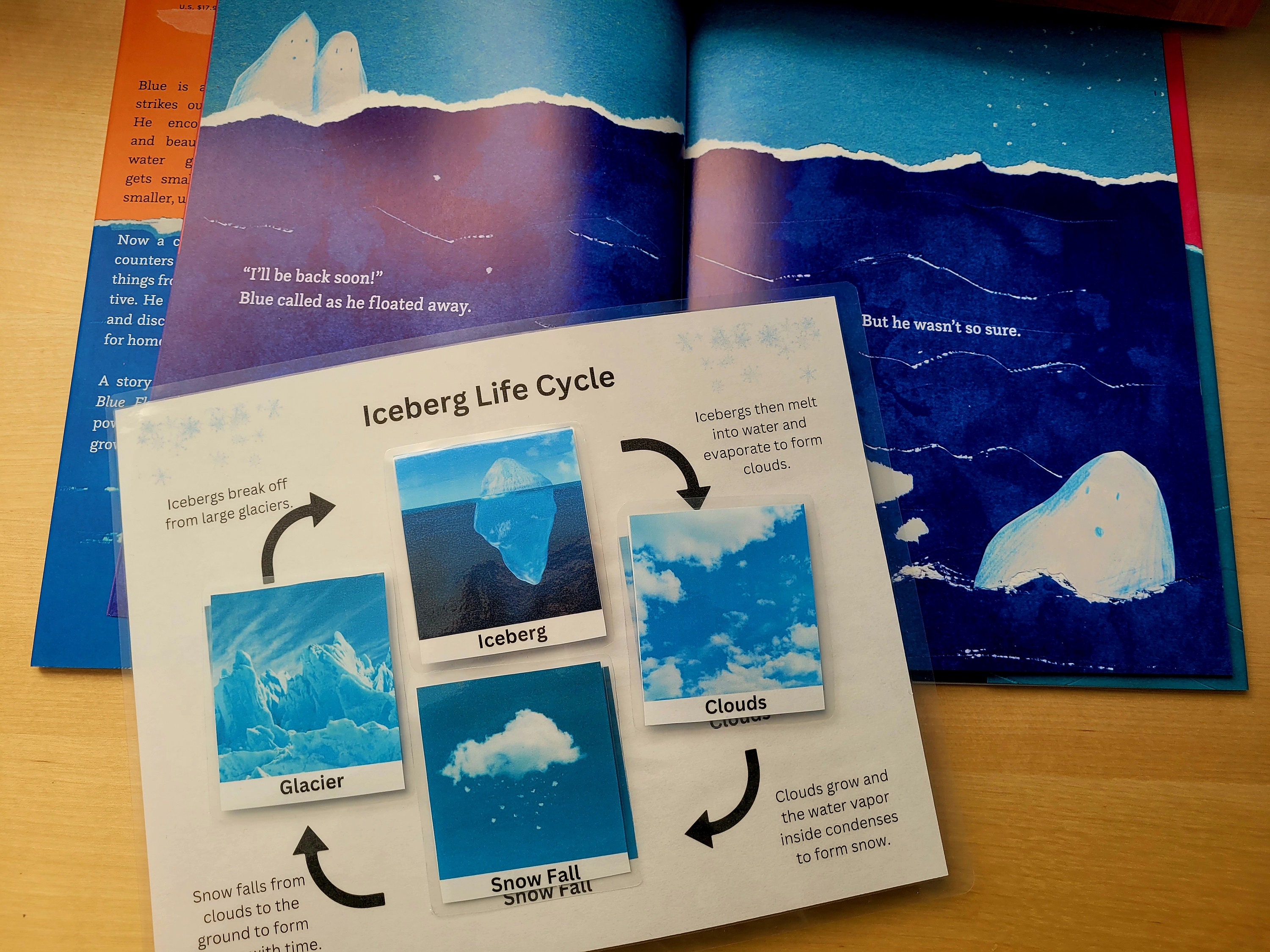 Iceberg Life Cycle Worksheet, Nature Study, Homeschool Resources, Busy ...