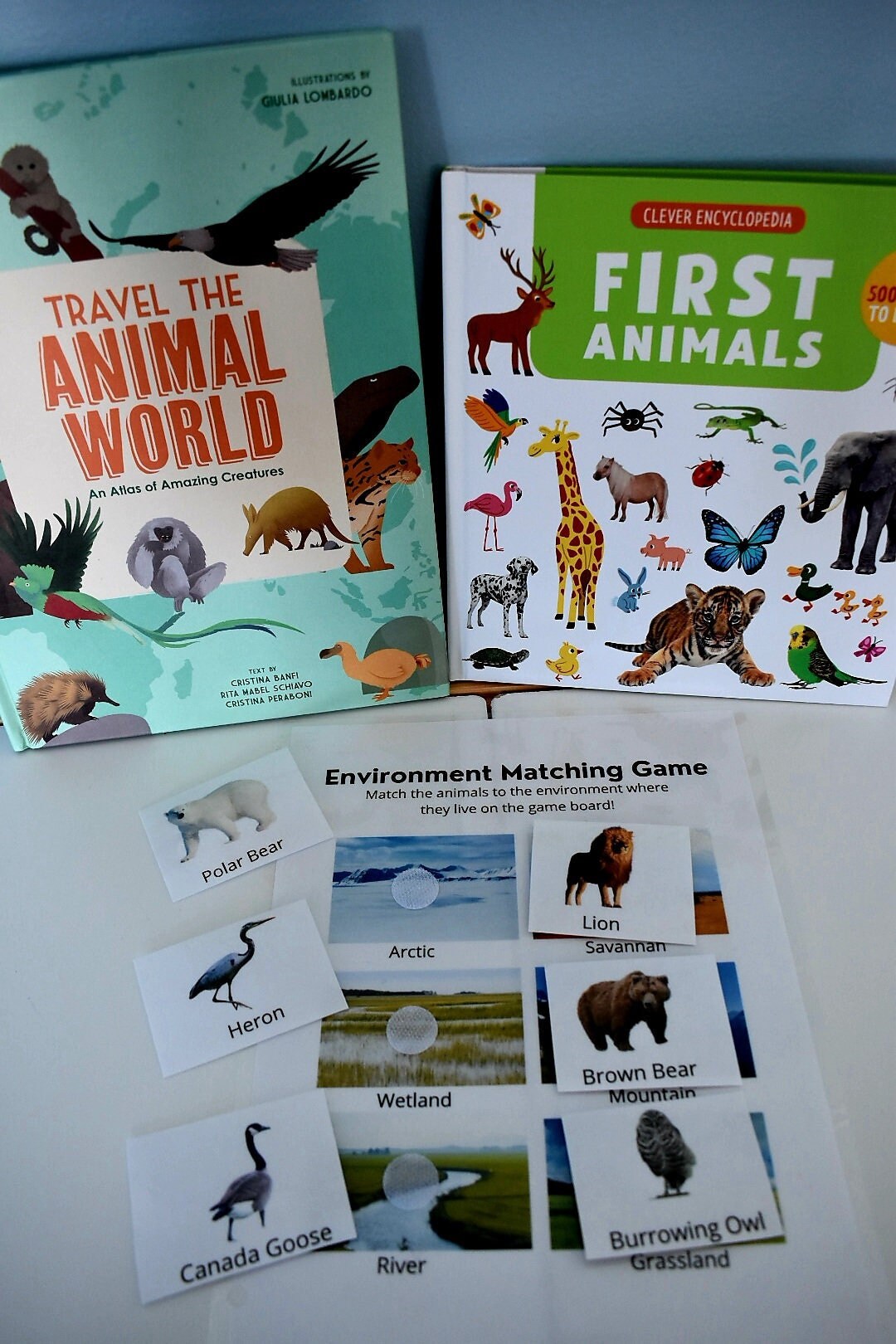 Animal to Environment Matching Game, Preschool Printable Busy Book Page ...