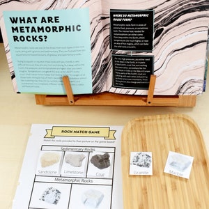 Printable Rock Match Game, Busy Book Page, Activities for Preschoolers ...