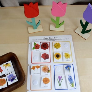 Preschool Printable Flower Colour Matching Game, Montessori Inspired ...