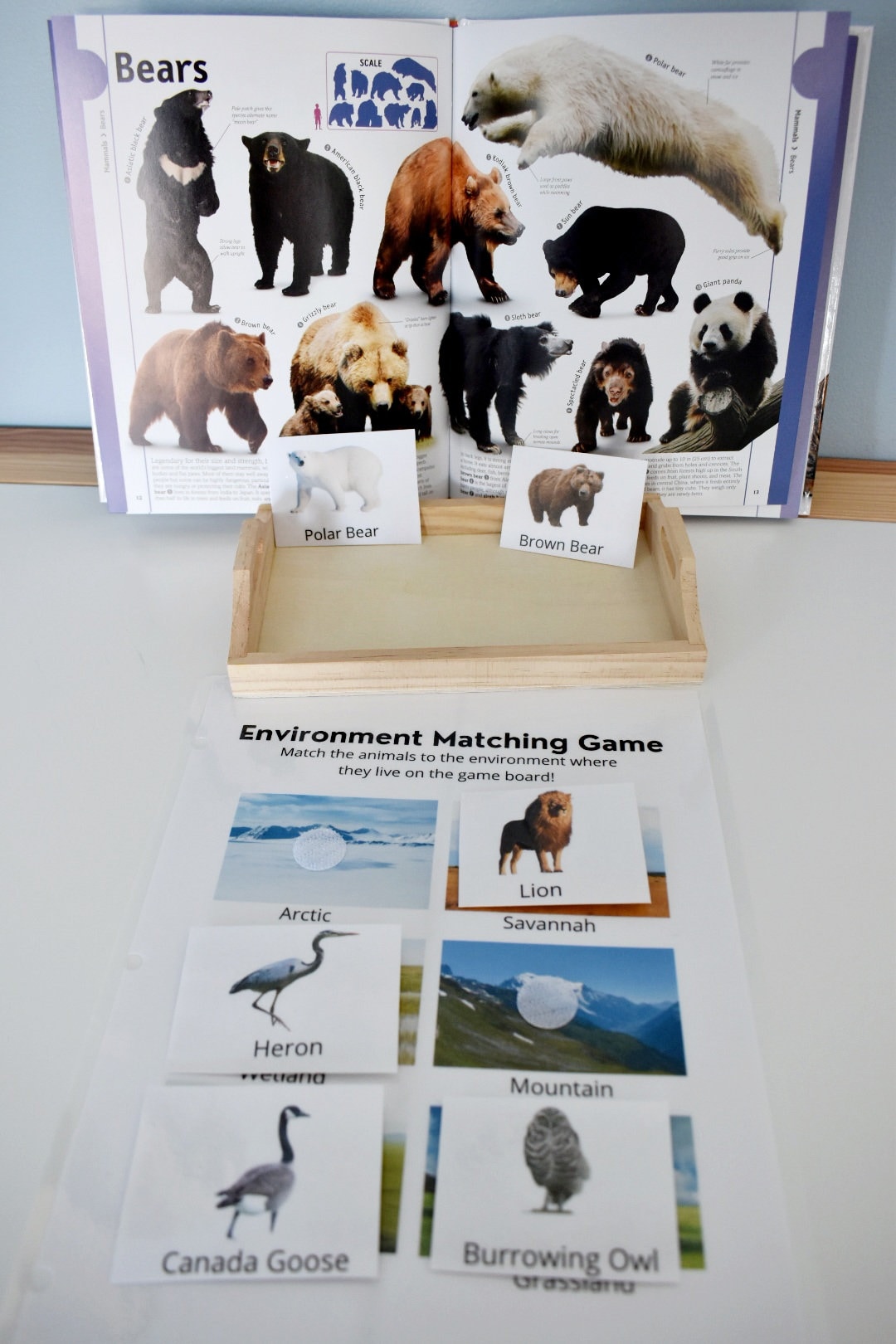 Animal to Environment Matching Game, Preschool Printable Busy Book Page ...