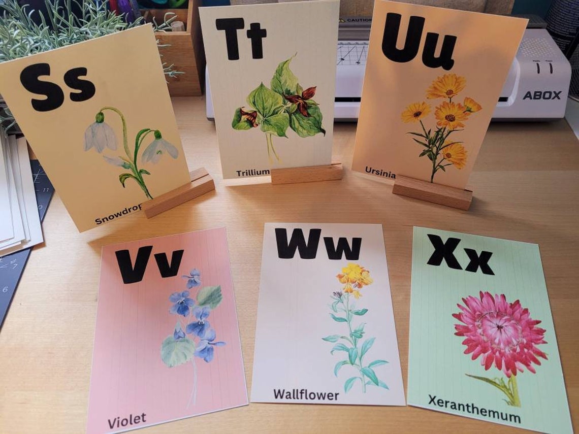 Flower Alphabet Cards, Watercolor Flower Cards, Toddler Activity ...