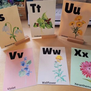 Flower Alphabet Cards, Watercolor Flower Cards, Toddler Activity ...