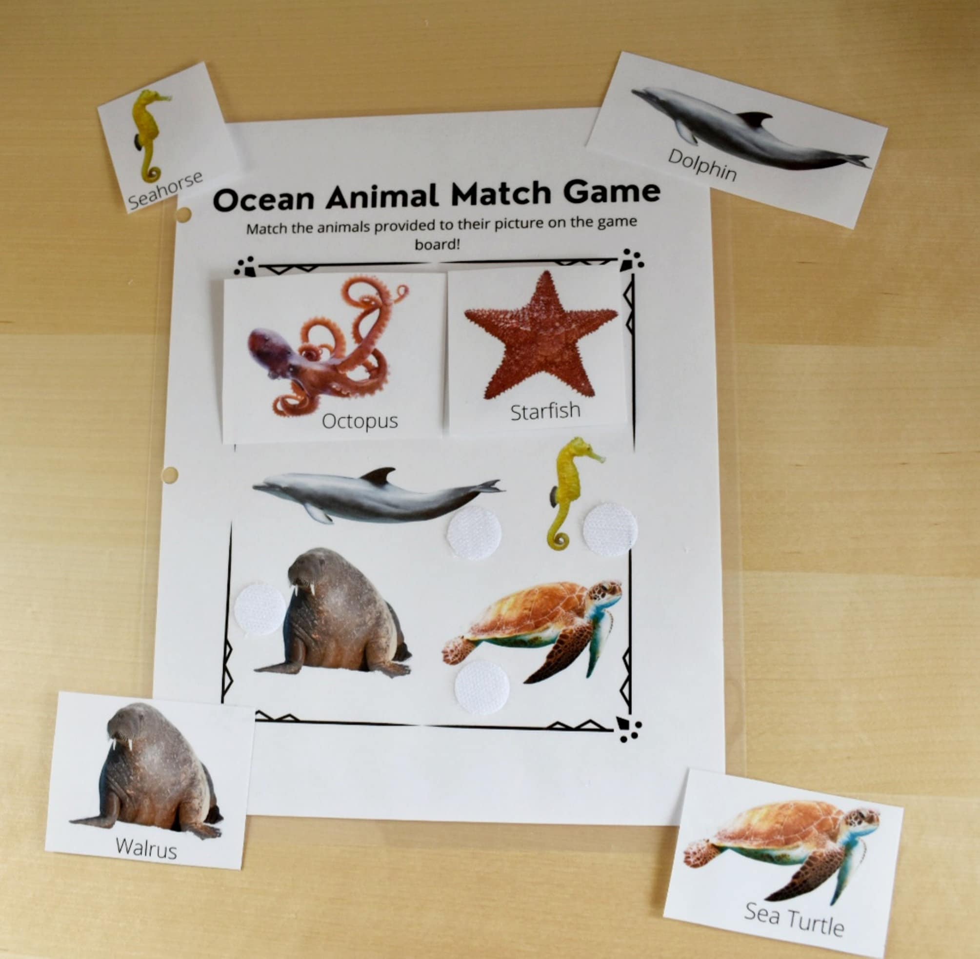 Ocean Animals Matching Game Preschool Printable Busy Book - Etsy
