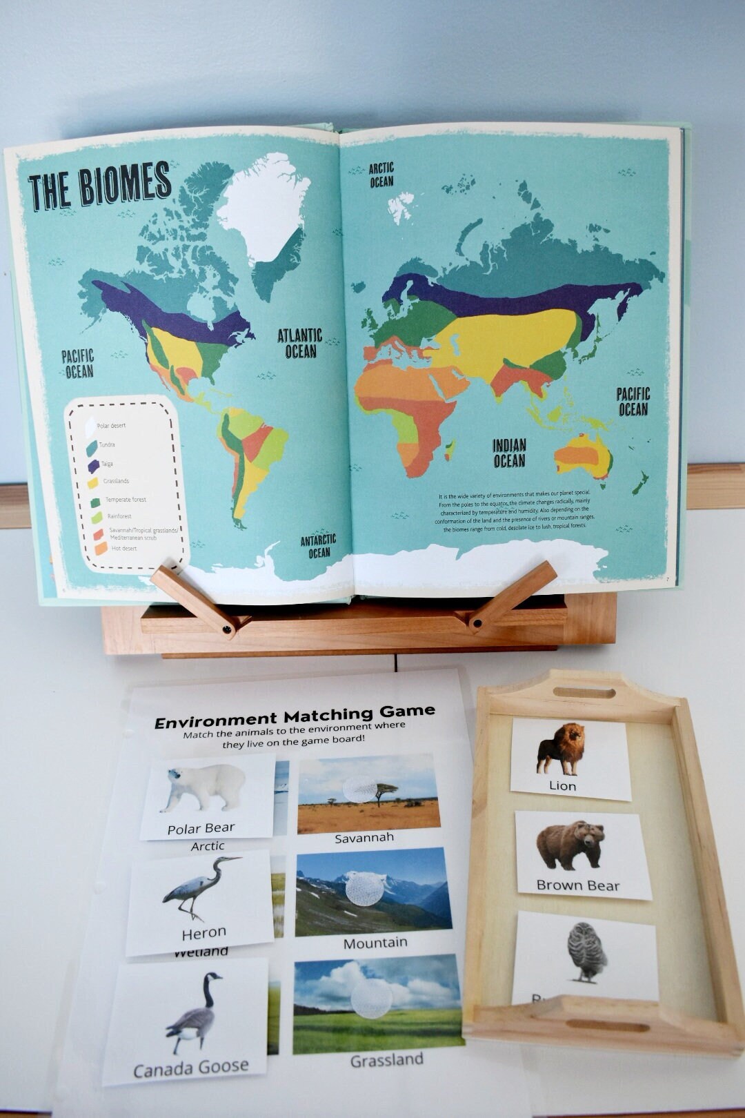 Animal to Environment Matching Game, Preschool Printable Busy Book Page ...