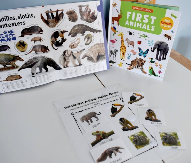 Rainforest Animal Matching Game, Preschool Printable Busy Book Page ...