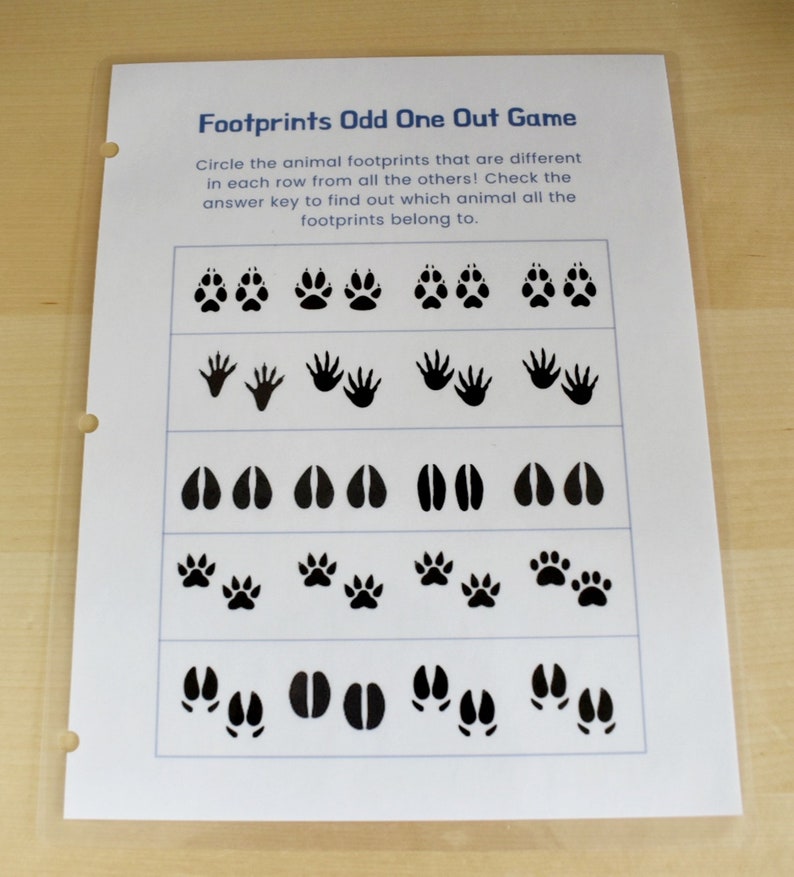 Preschool Printable Animal Footprints Game, Busy Book Page, Montessori ...