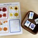 Preschool Printable Flower Colour Matching Game, Montessori Inspired ...