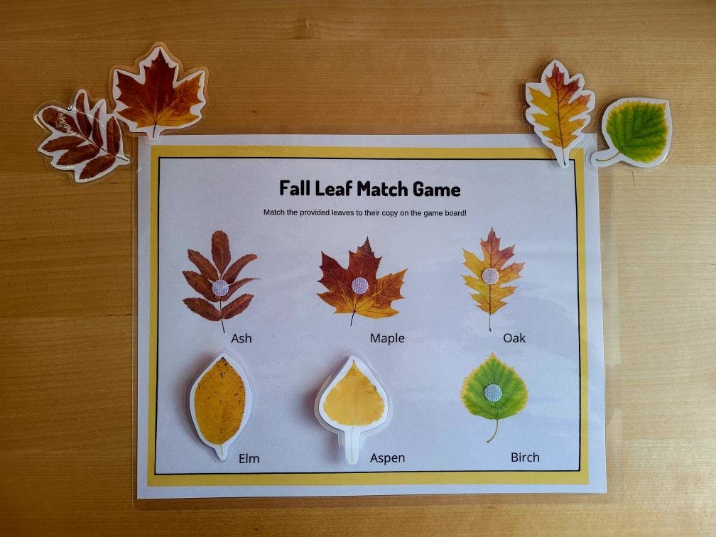 Fall Leaf Match Game, Montessori Inspired, Fall Toddler Activity ...