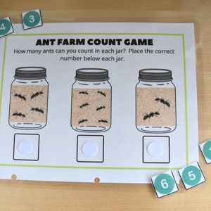 Ant Farm Count Game, Mathematics Worksheet, Home Learning, Homeschool ...