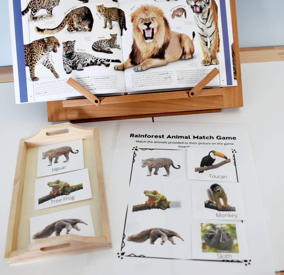 Rainforest Animal Matching Game, Preschool Printable Busy Book Page ...