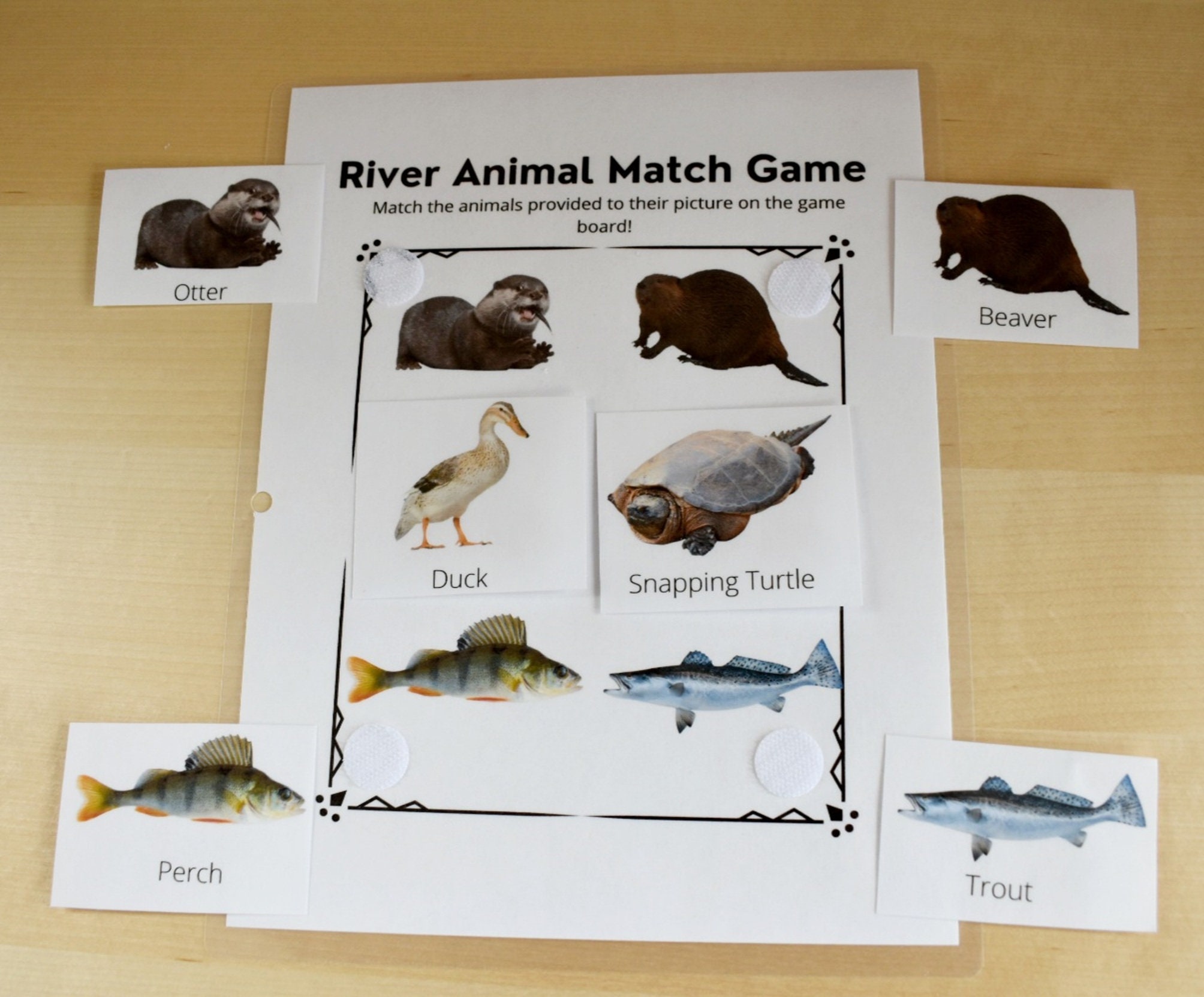 Forest Animal Matching Worksheet, Activities for Preschoolers ...