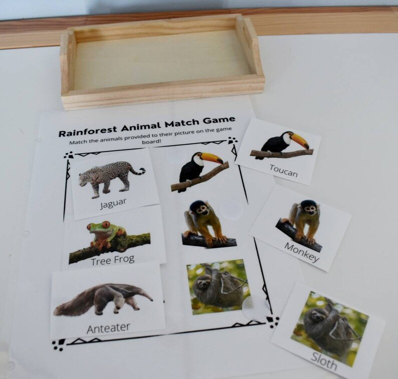 Rainforest Animal Matching Game, Preschool Printable Busy Book Page ...