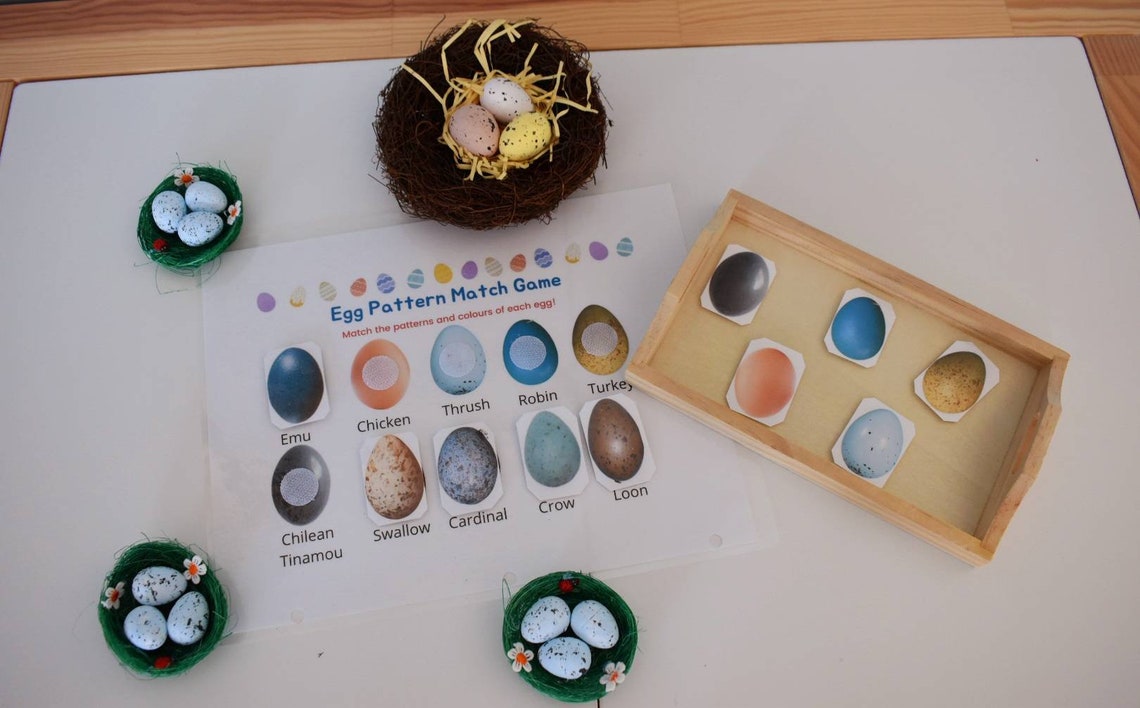 Egg Pattern Match Worksheet: Montessori Homeschool Printable (PDF) - Etsy