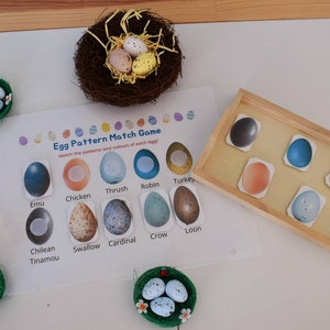 Egg Pattern Match Worksheet: Montessori Homeschool Printable (PDF) - Etsy