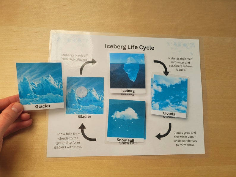 Iceberg Life Cycle Worksheet, Nature Study, Homeschool Resources, Busy ...