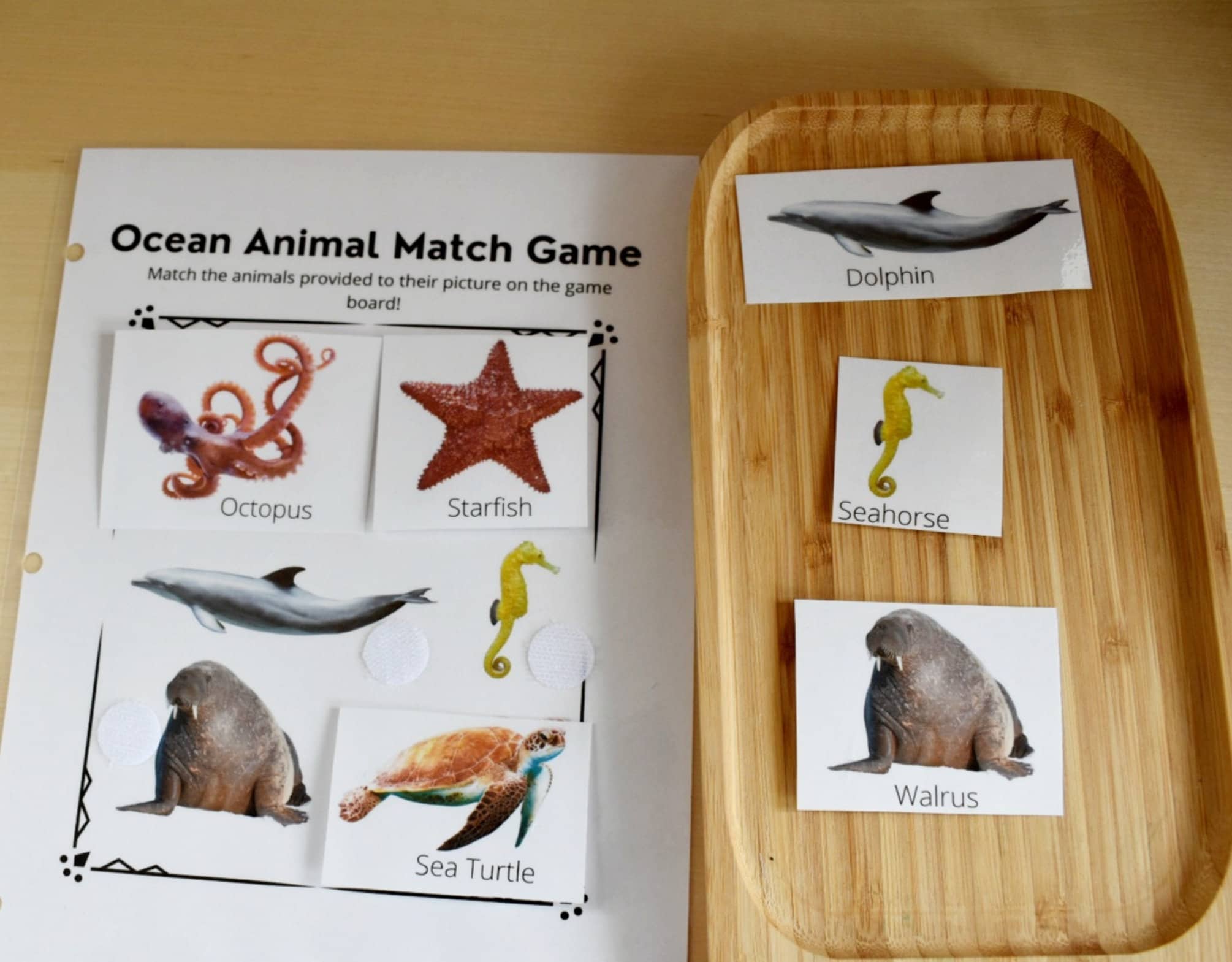 Ocean Animals Matching Game Preschool Printable Busy Book - Etsy
