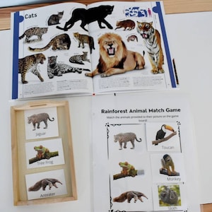 Rainforest Animal Matching Game, Preschool Printable Busy Book Page ...