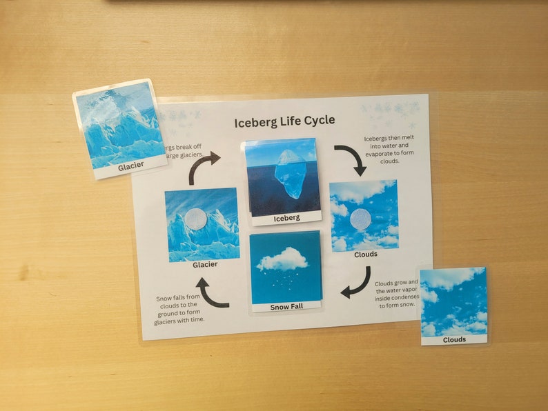 Iceberg Life Cycle Worksheet, Nature Study, Homeschool Resources, Busy ...