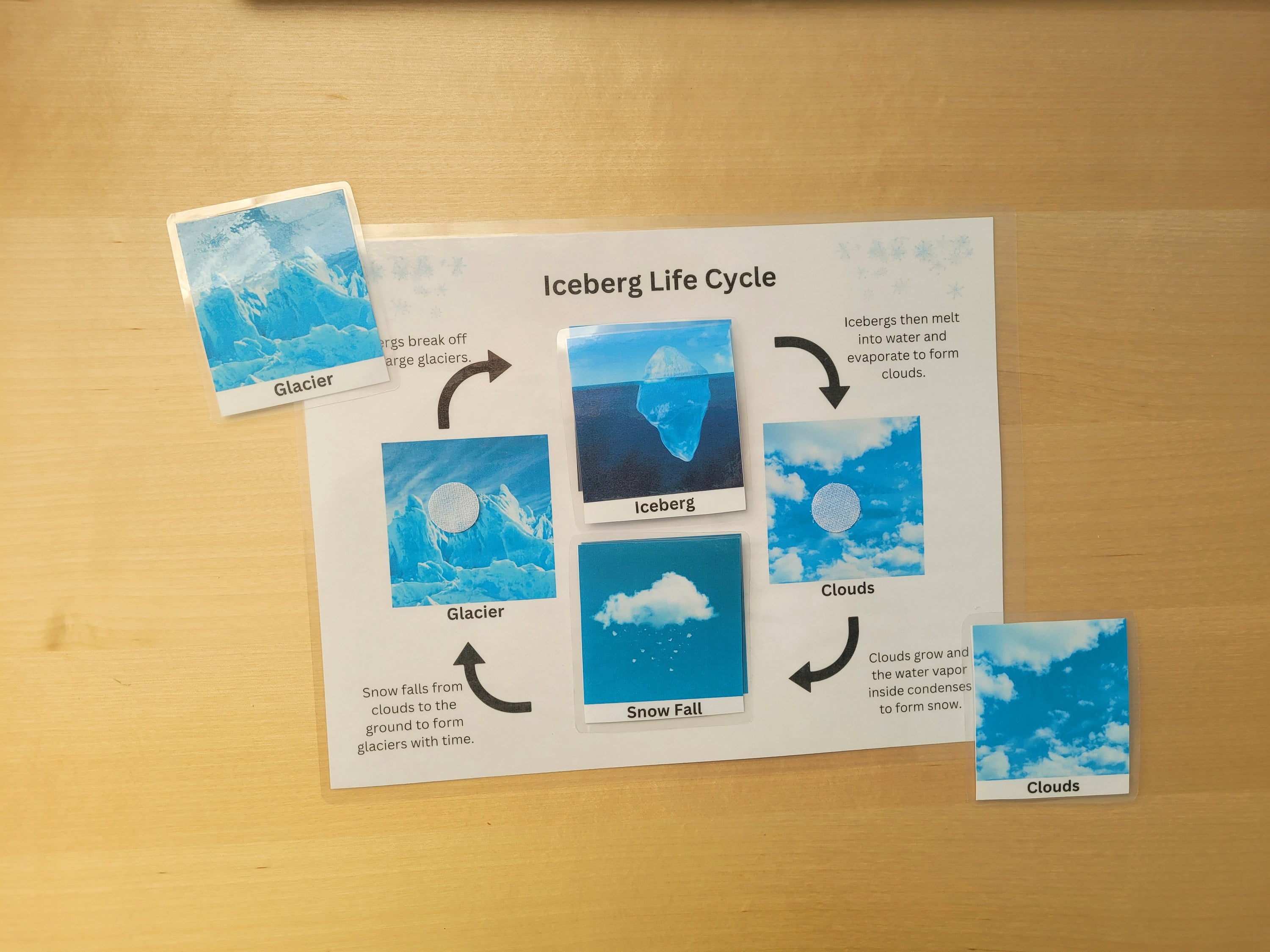 Iceberg Life Cycle Worksheet, Nature Study, Homeschool Resources, Busy ...
