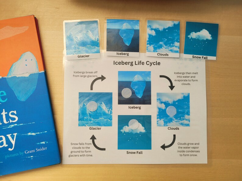 Iceberg Life Cycle Worksheet: Homeschool Nature Study (PDF) - Etsy