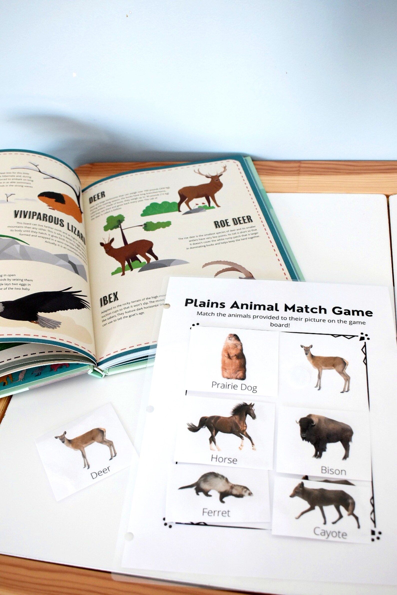 Plains Animal Matching Game, Activities for Preschoolers, Montessori ...