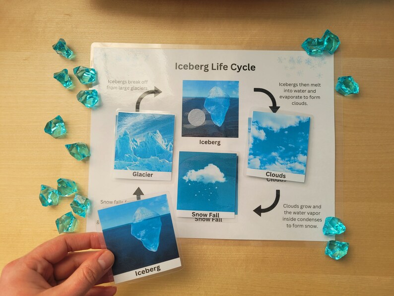 Iceberg Life Cycle Worksheet: Homeschool Nature Study (PDF) - Etsy