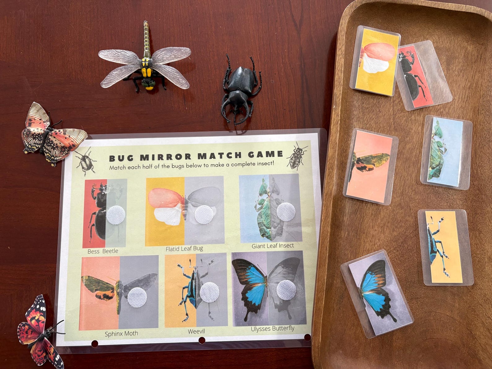 Printable Bug Mirror Match Game: Nature Study Worksheet (PDF) - Etsy