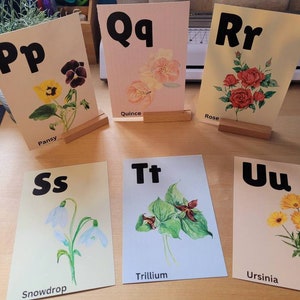 Flower Alphabet Cards, Watercolor Flower Cards, Toddler Activity ...