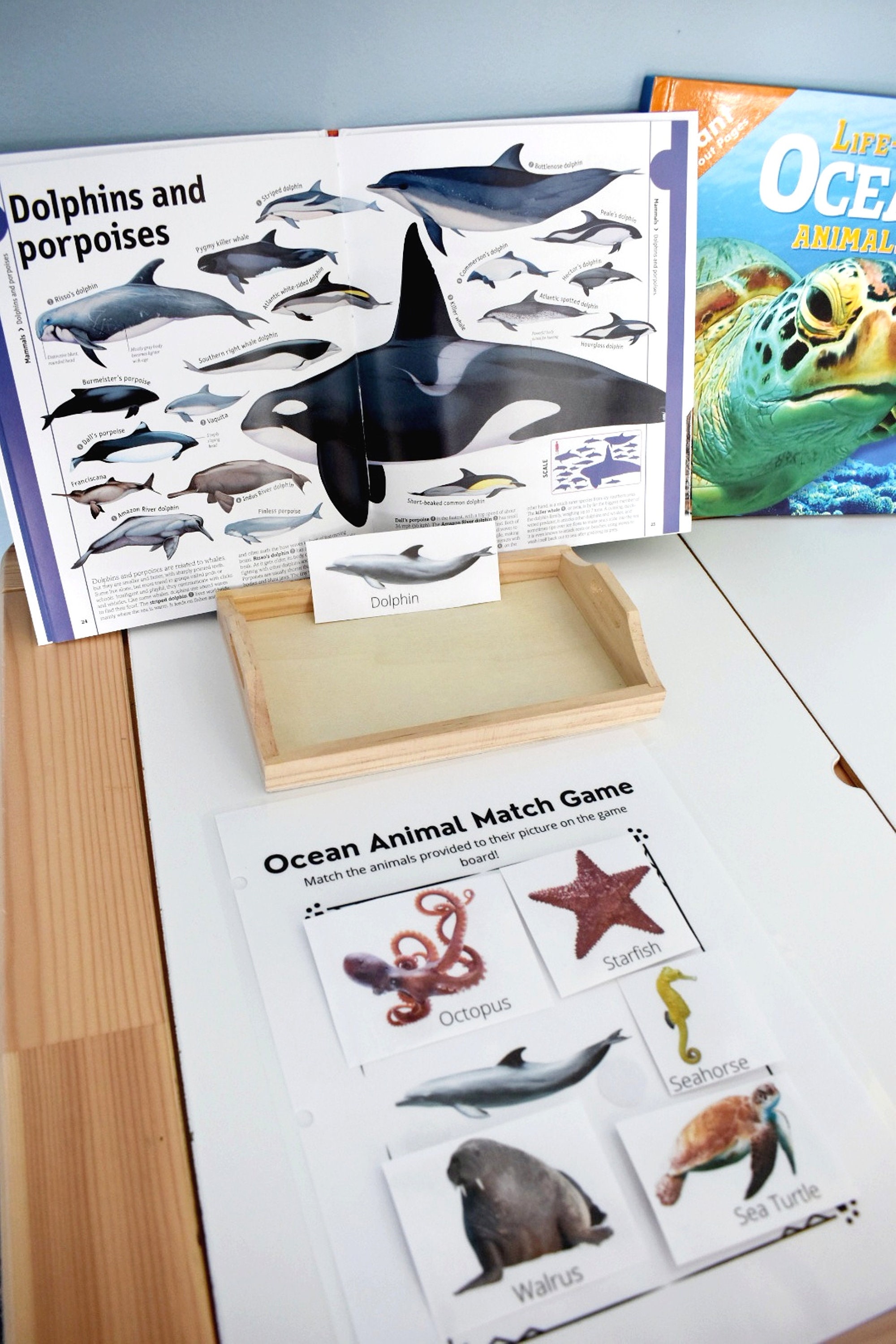 Ocean Animals Matching Game Preschool Printable Busy Book - Etsy
